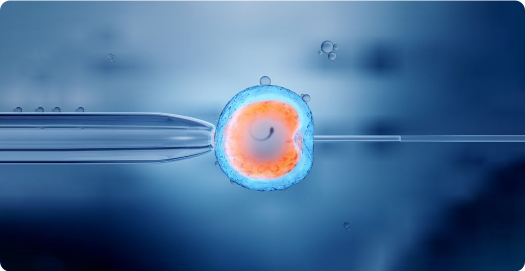 FECUNDACIÓN INVITRO, ¿QUÉ ES Y CUÁL ES SU PRECIO? - Clínica de Fertilidad